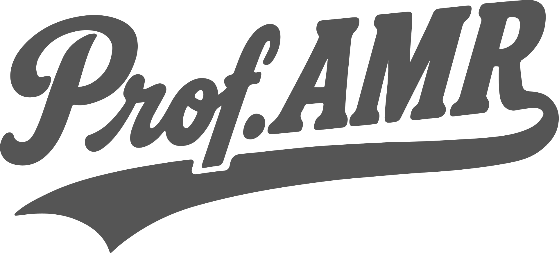 Blog | Prof. AMR
